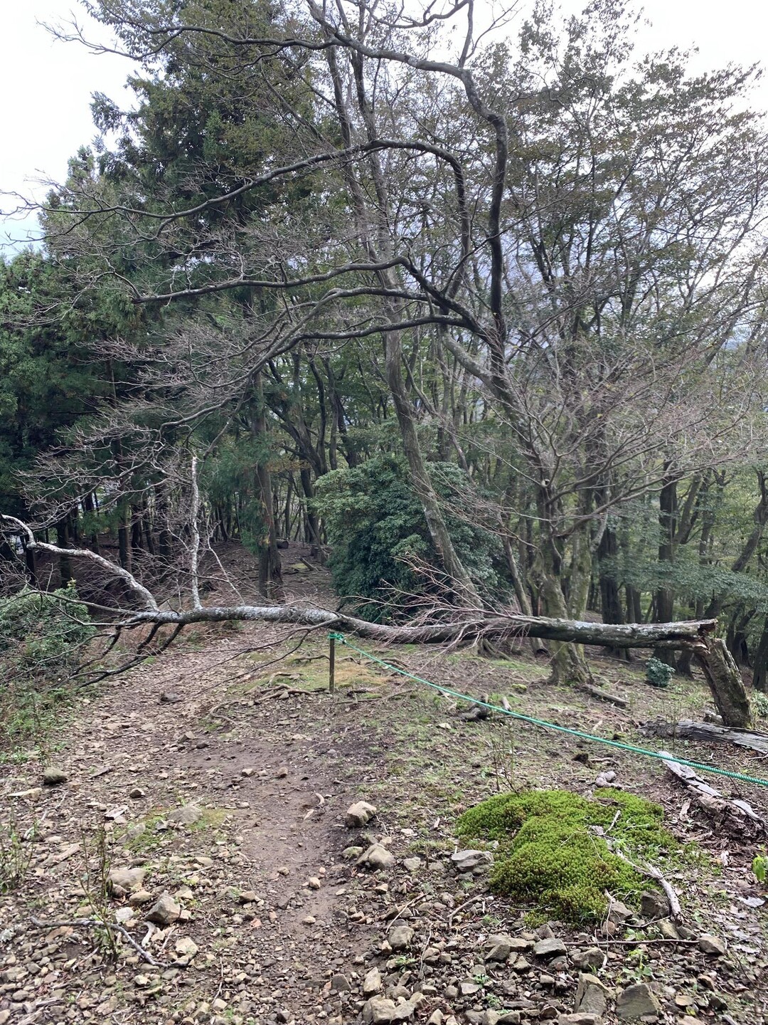 daiさんの投稿したフィールドメモ | YAMAP / ヤマップ