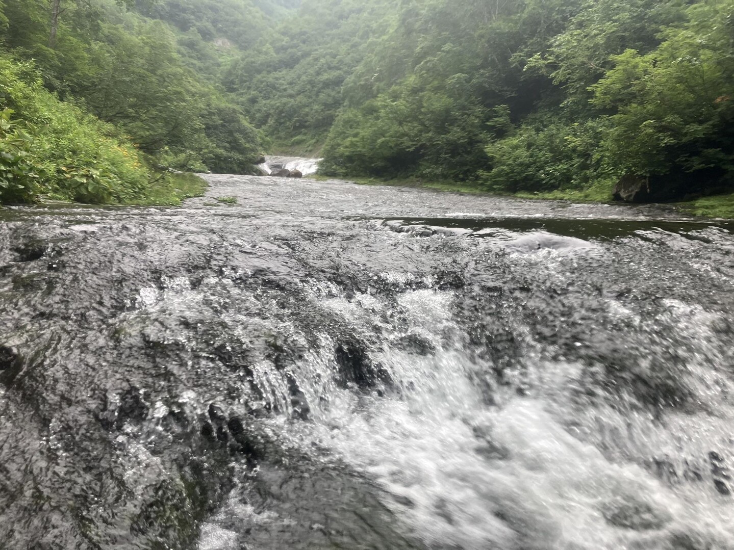 クワウンナイ 沢登り / ryoさんのGT3 2の活動データ | YAMAP / ヤマップ