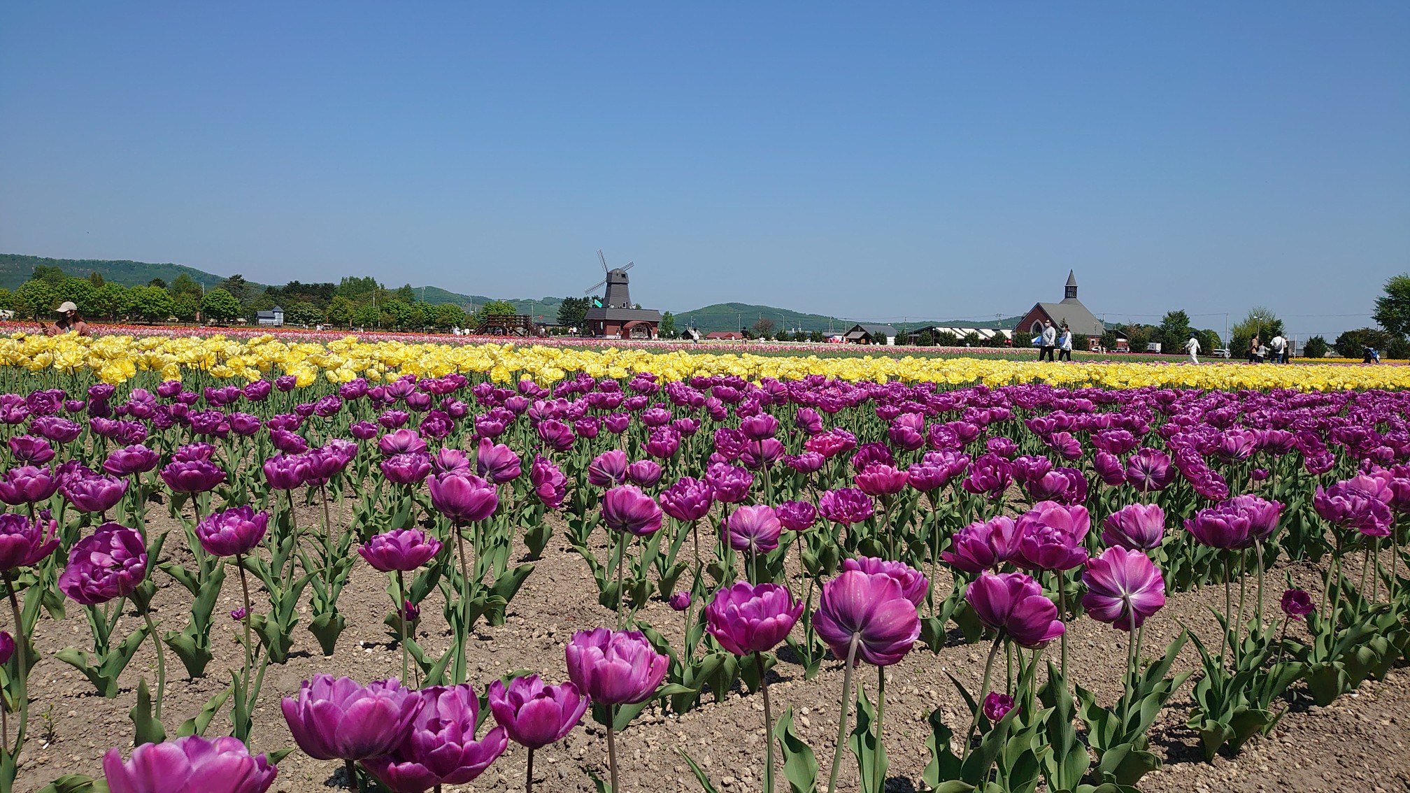 今年も行って来ました かみゆうべつチュー... / HIROさんのモーメント | YAMAP / ヤマップ