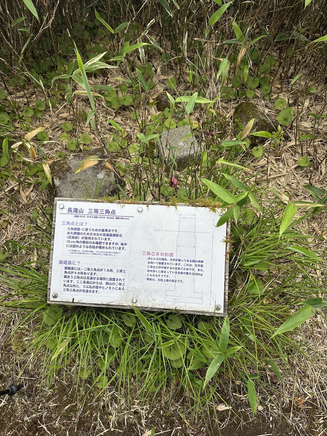 長滝山（御蔵島） しま山100選#91 / kobaさんの御蔵島の活動データ | YAMAP / ヤマップ