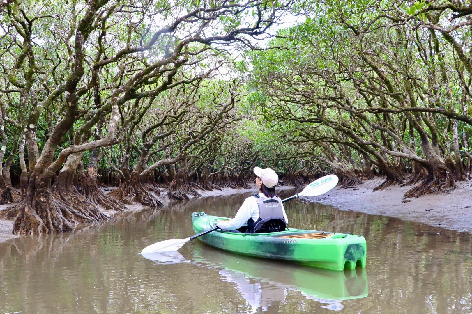 奄美大島のマングローブでカヌー🛶Canoe experience in Amami's mangrove forest / Tabineko🐈さんの奄美市・大和村・宇検村（奄美大島中部）の活動 ...