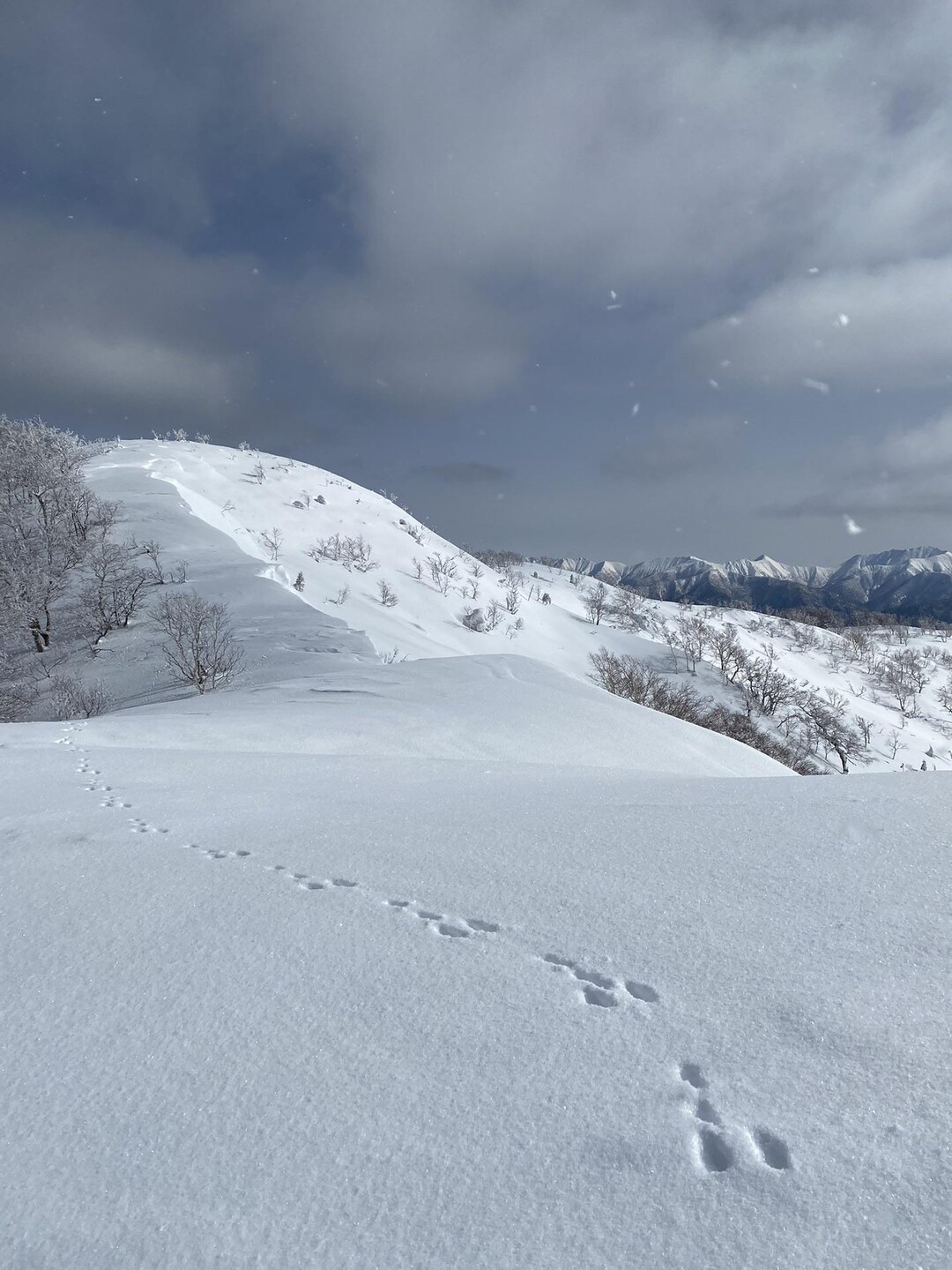 糠平山 2024-02-17 / かんちんさんのGT3 8の活動データ | YAMAP / ヤマップ