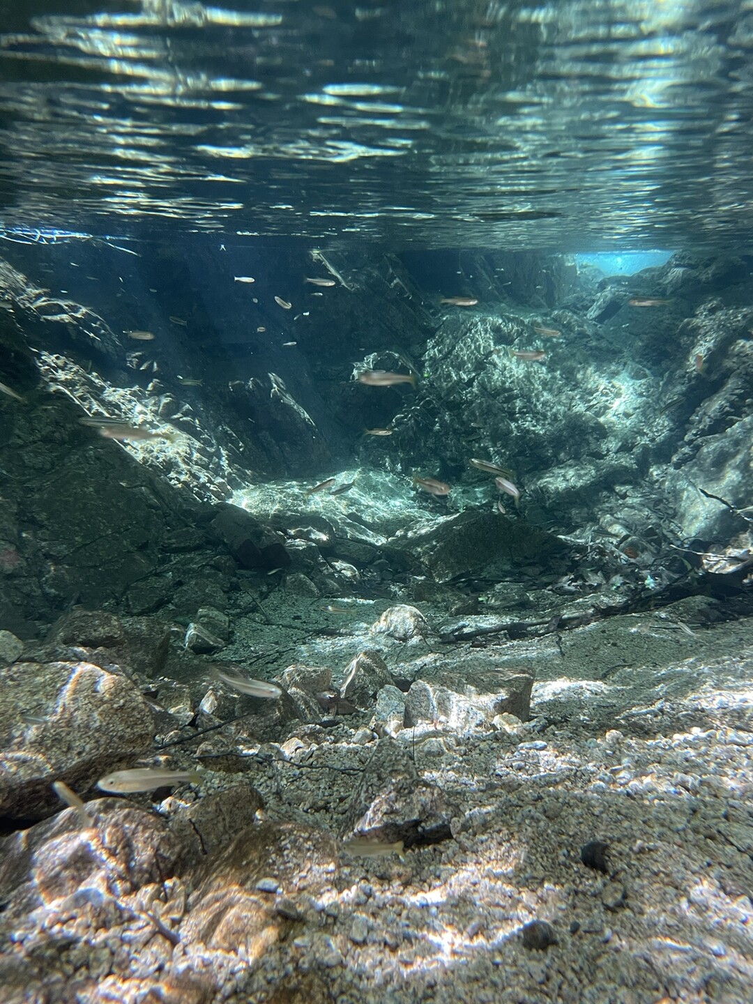 芦屋→有馬→芦屋 / DJさんの六甲山・長峰山・摩耶山の活動データ | YAMAP / ヤマップ