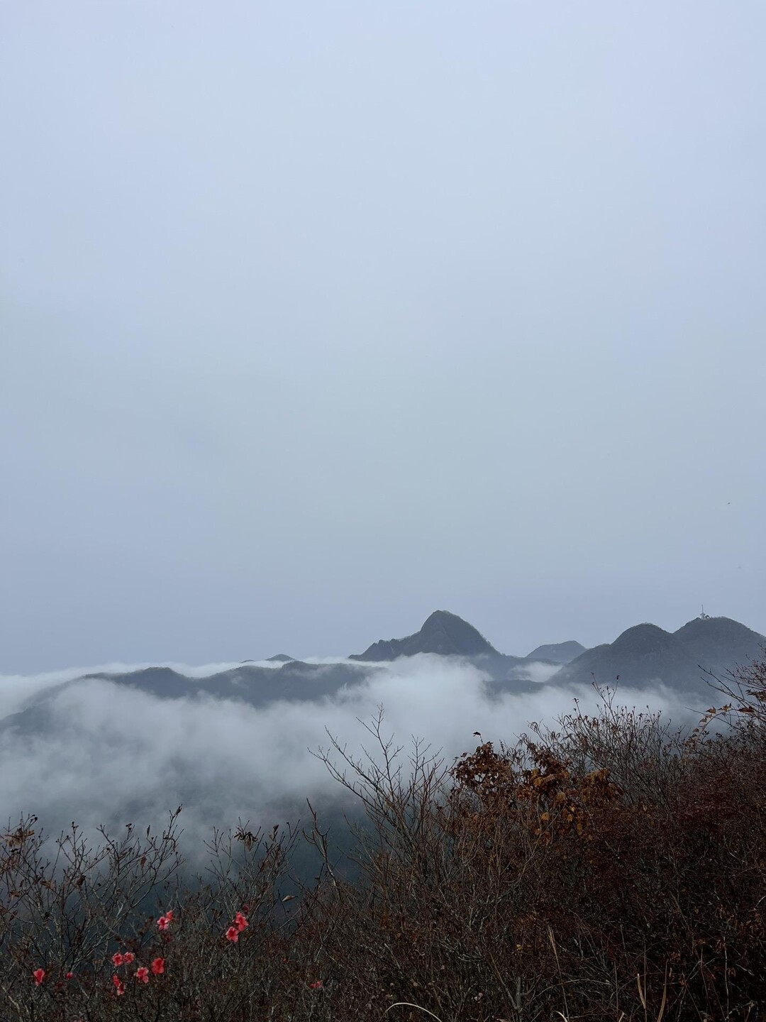 浅間山(水沢山)【R5.80】 / なり460さんの榛名山・天狗山・天目山の活動データ | YAMAP / ヤマップ