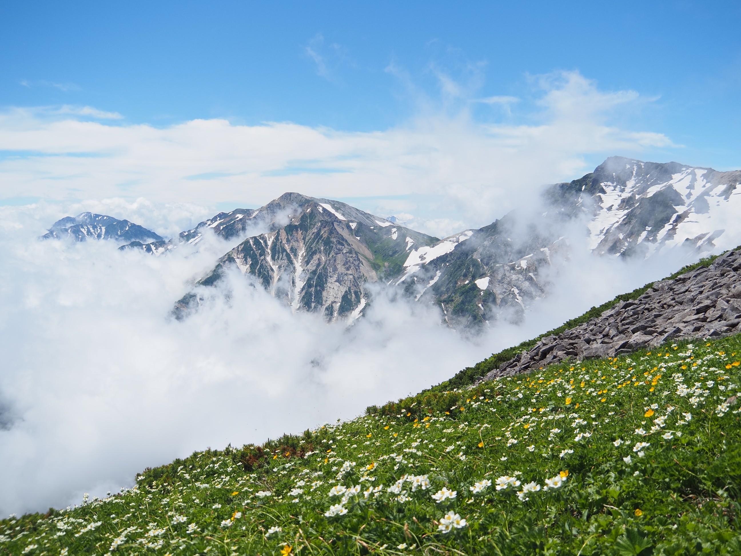 白馬岳～唐松岳 / せっきーPさんの白馬岳・小蓮華山の活動データ | YAMAP / ヤマップ