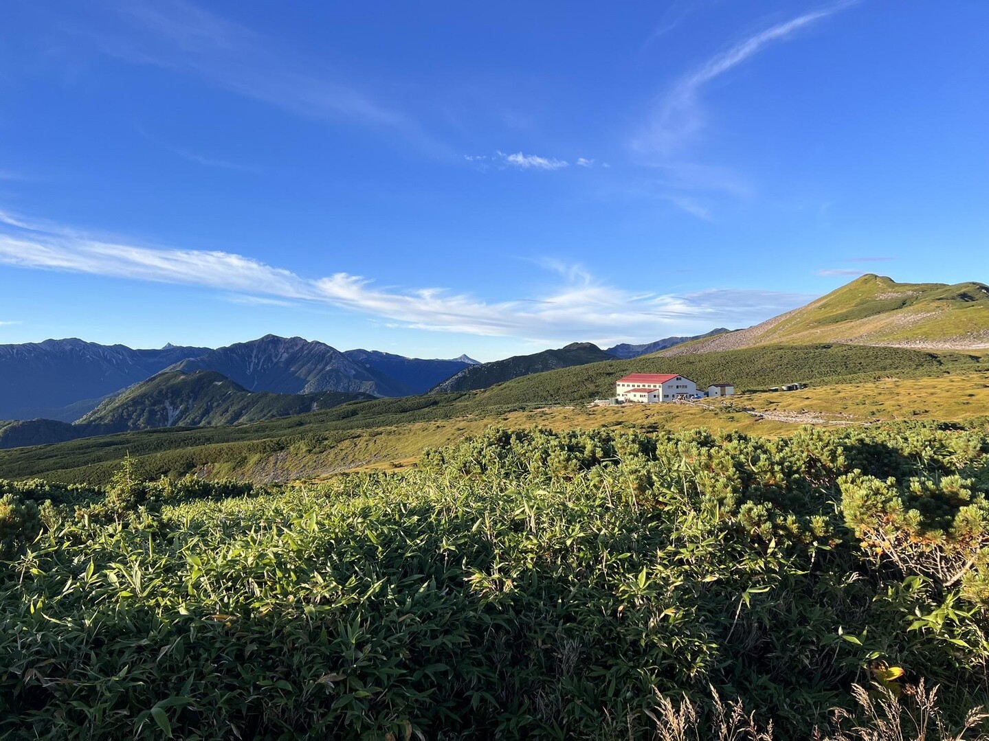 五色ヶ原（浄土山〜獅子岳） / aurelieさんの立山・雄山・浄土山の活動データ | YAMAP / ヤマップ