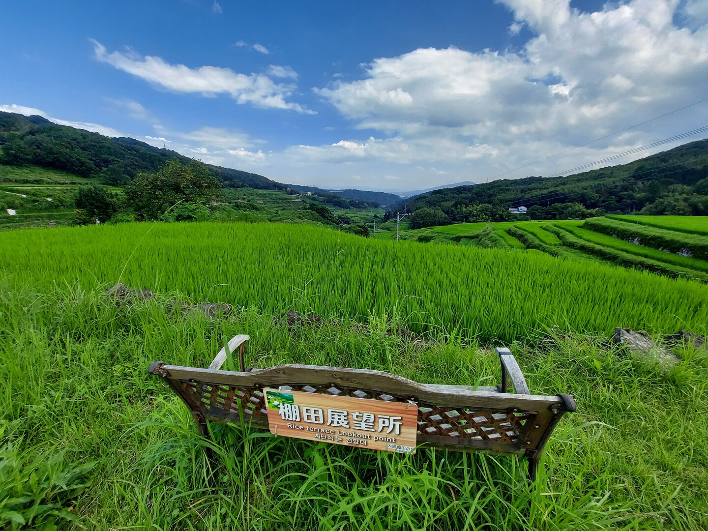 内成棚田 / Jasperさんの由布市の活動日記 | YAMAP / ヤマップ
