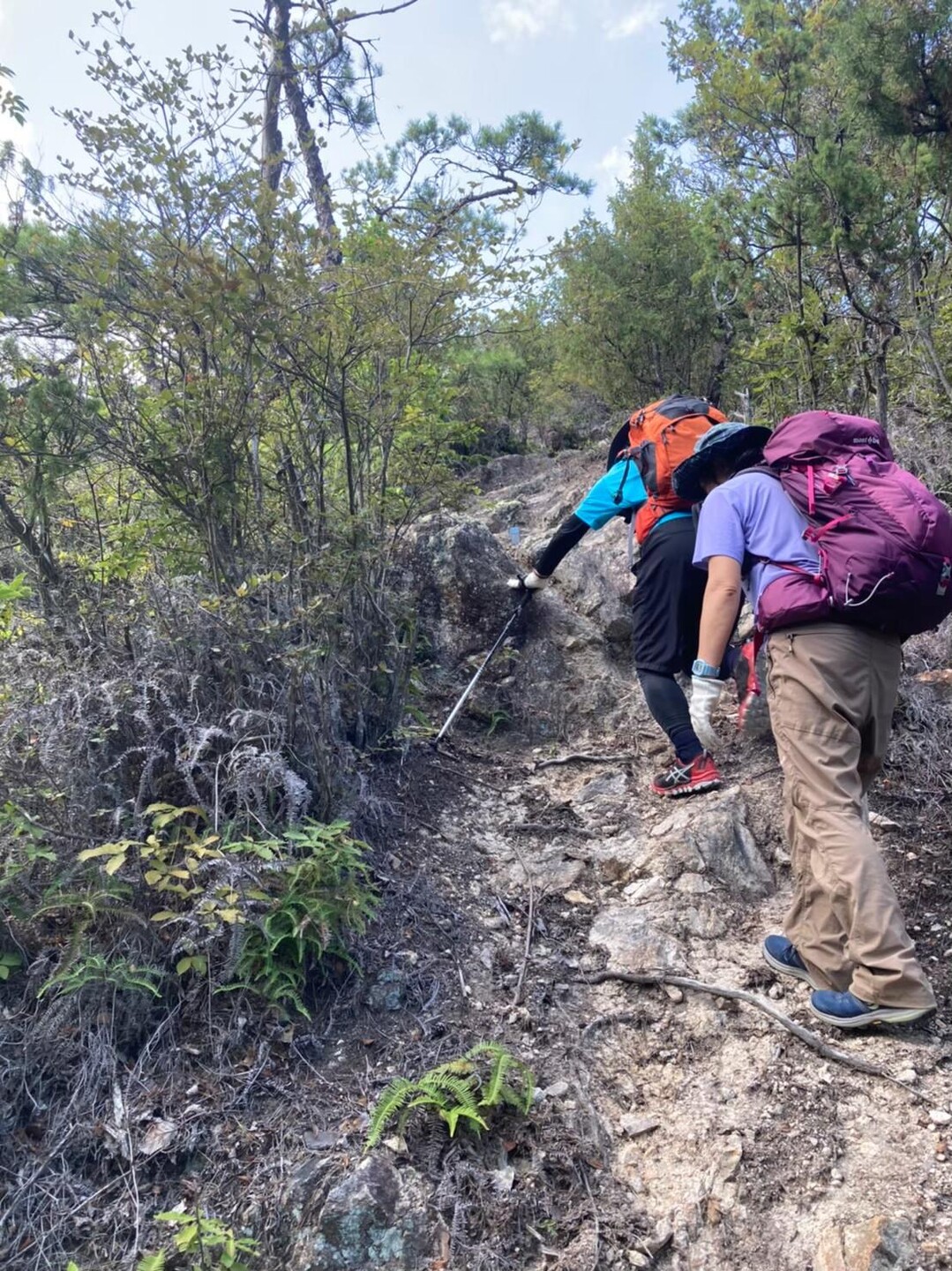 写真【NVC42】青春18 第4弾 森林浴 熊山縦走(万富駅から和気駅) / ダブルオーセブンさんの熊山・高津山・尺八山の活動データ | YAMAP / ヤマップ