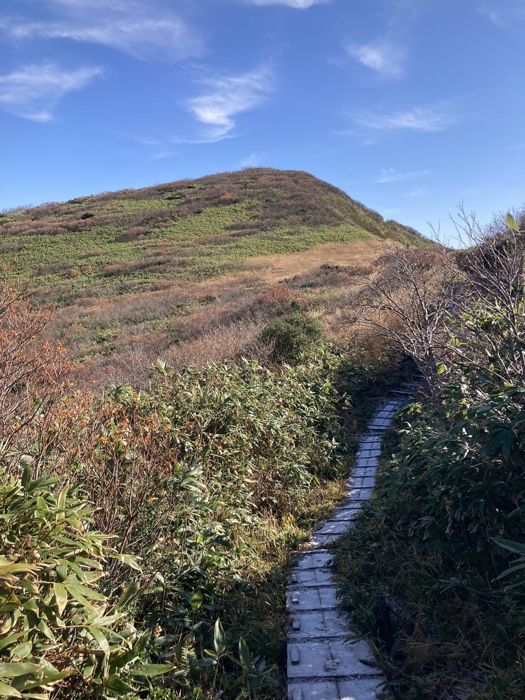 前岳・浅草岳・カヘヨノボッチ / mickey hoshinoさんの浅草岳・鬼ヶ面山の活動データ | YAMAP / ヤマップ