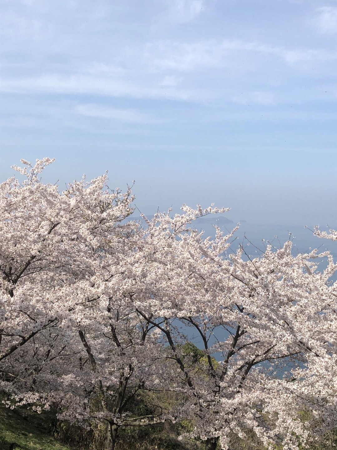 山笑う、私は疲れて、ひざ笑う😄 / Rさんのモーメント | YAMAP / ヤマップ
