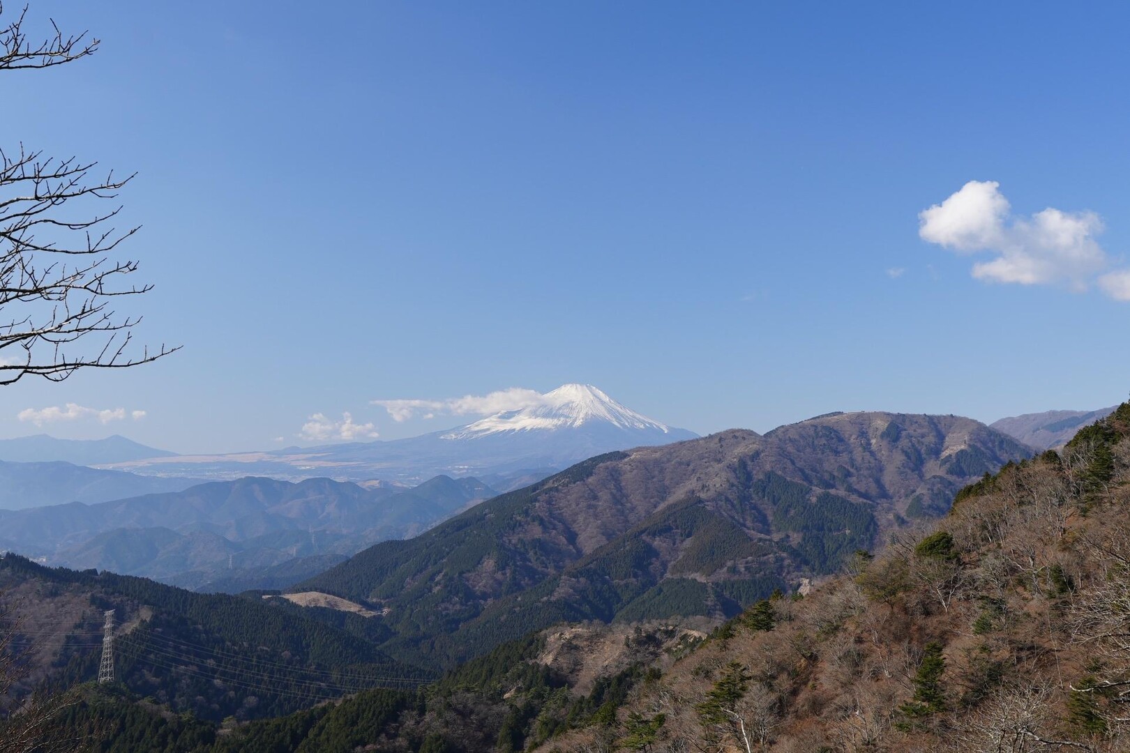 大山(神奈川) / Satokoさんの大山の活動データ | YAMAP / ヤマップ