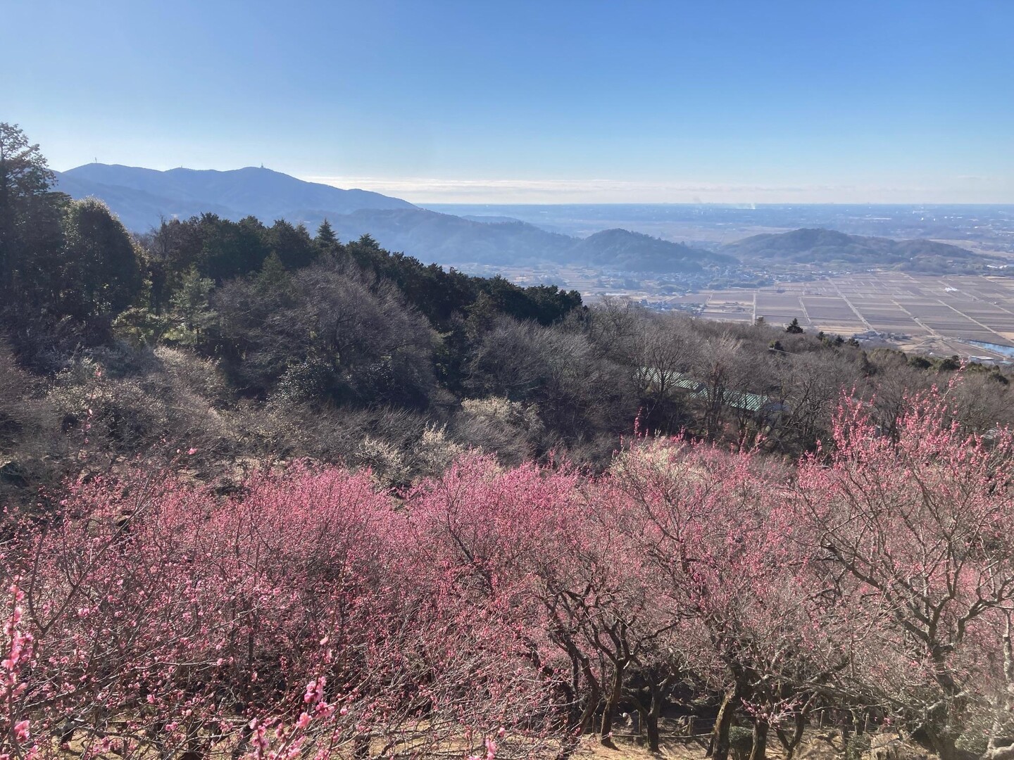 R6 筑波山 梅林 / mareさんの筑波山の活動データ | YAMAP / ヤマップ