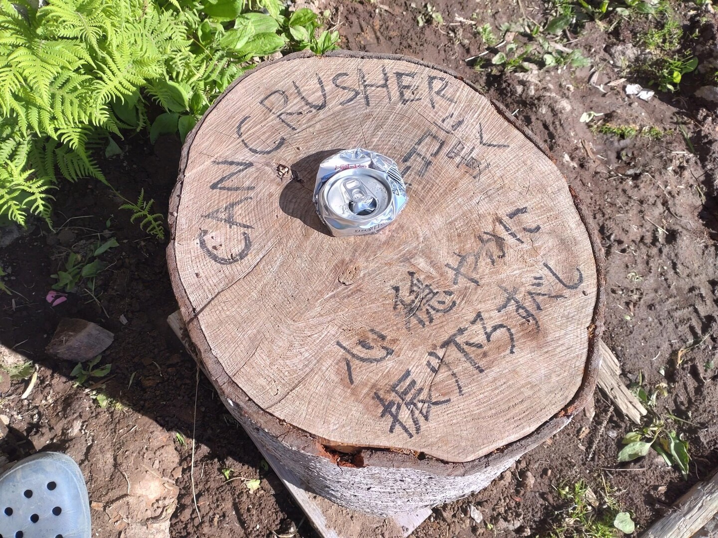 妙高山・火打山 / きよまるさんの妙高山・火打山の活動日記 | YAMAP / ヤマップ