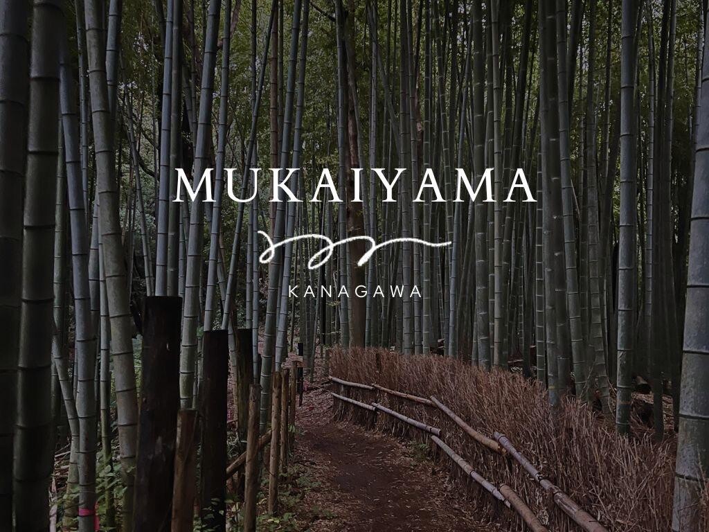 向山 / Karinさんの鶴見川流域ウォーキングMAP（尾根歩き編）の活動データ | YAMAP / ヤマップ