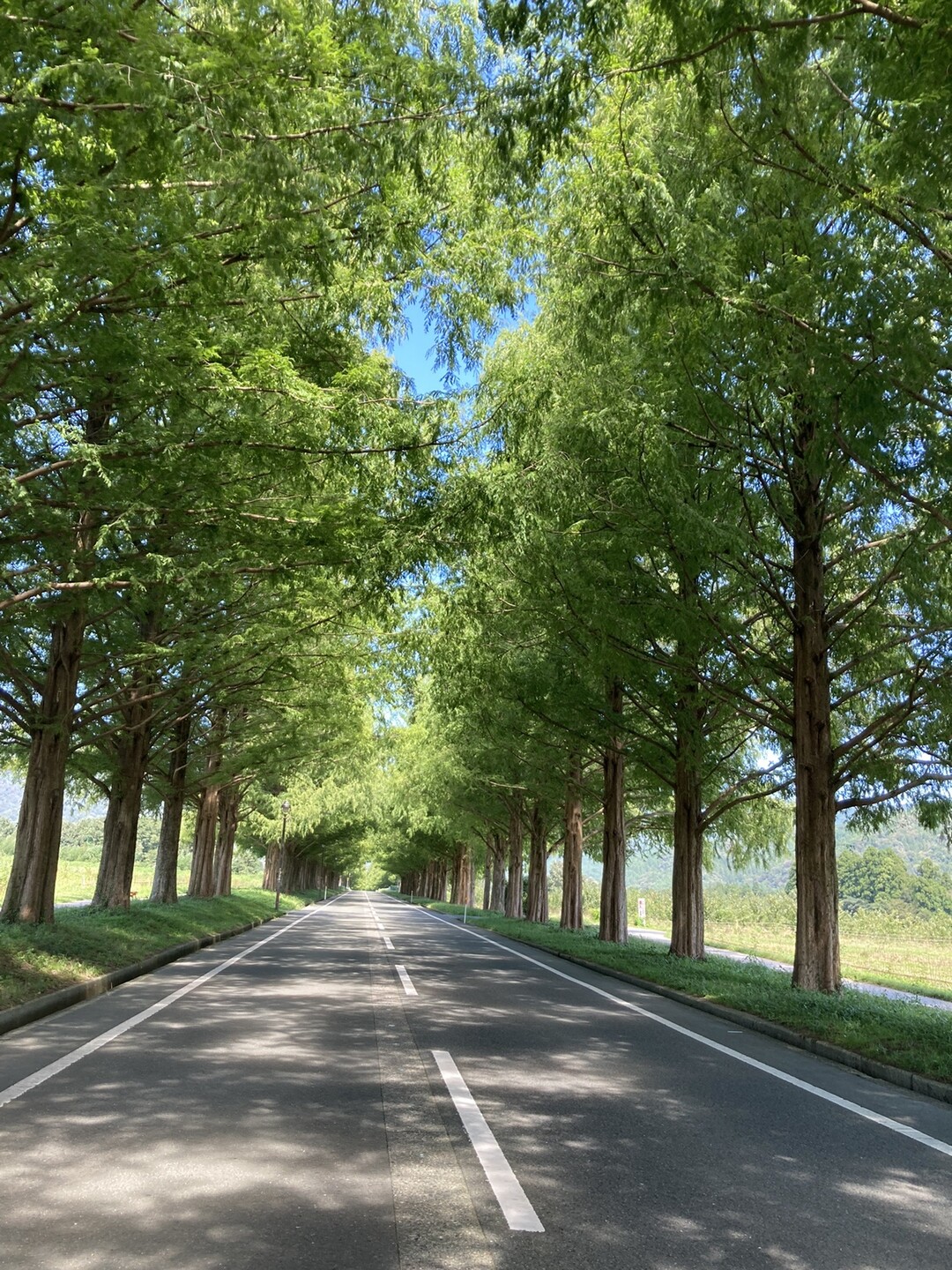 2022.05.07(土) 10:31 / broncoさんのモーメント | YAMAP / ヤマップ