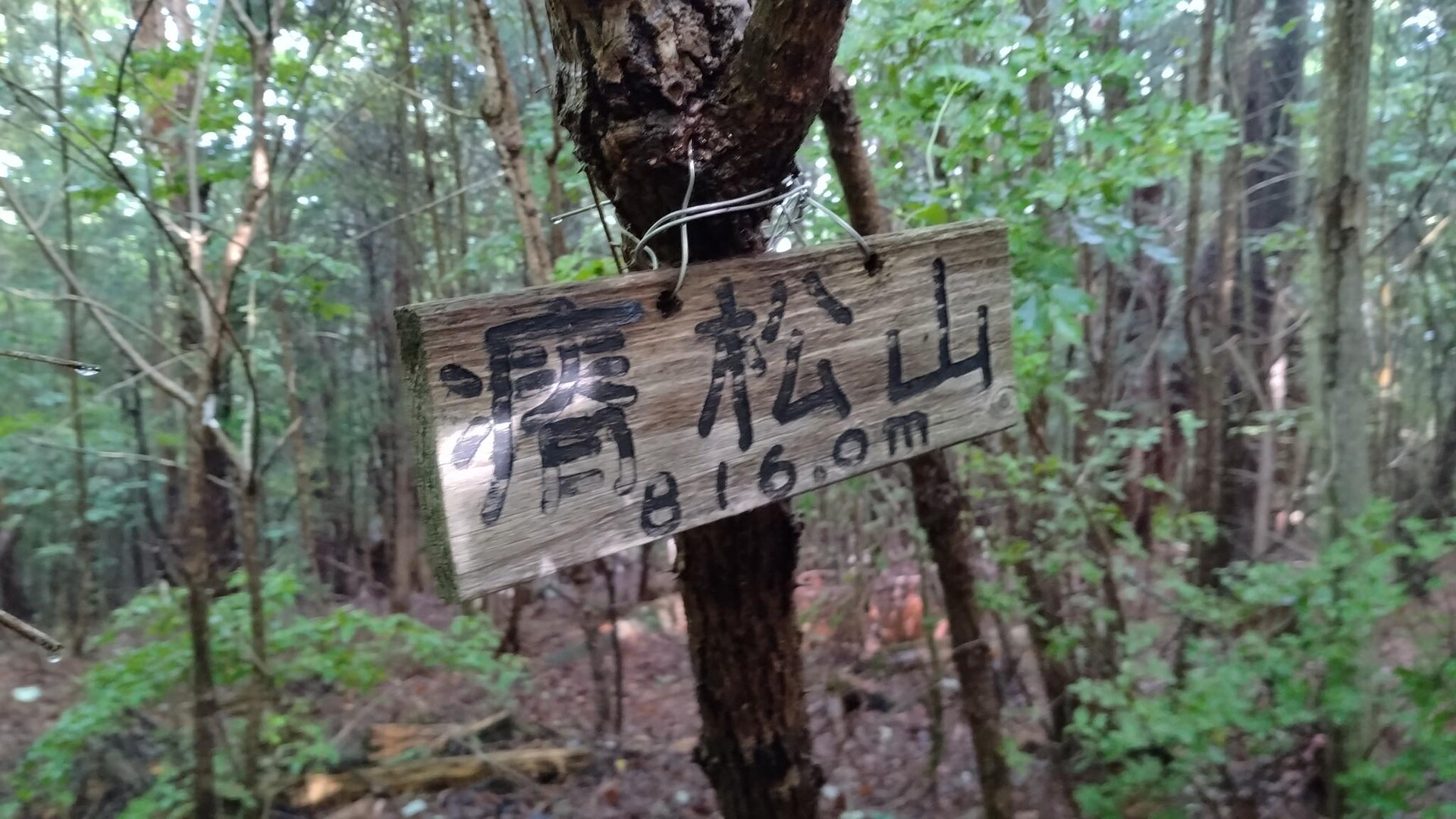 痩松山(里美牧場)2/8 / type52さんの鍋足山の活動データ | YAMAP / ヤマップ