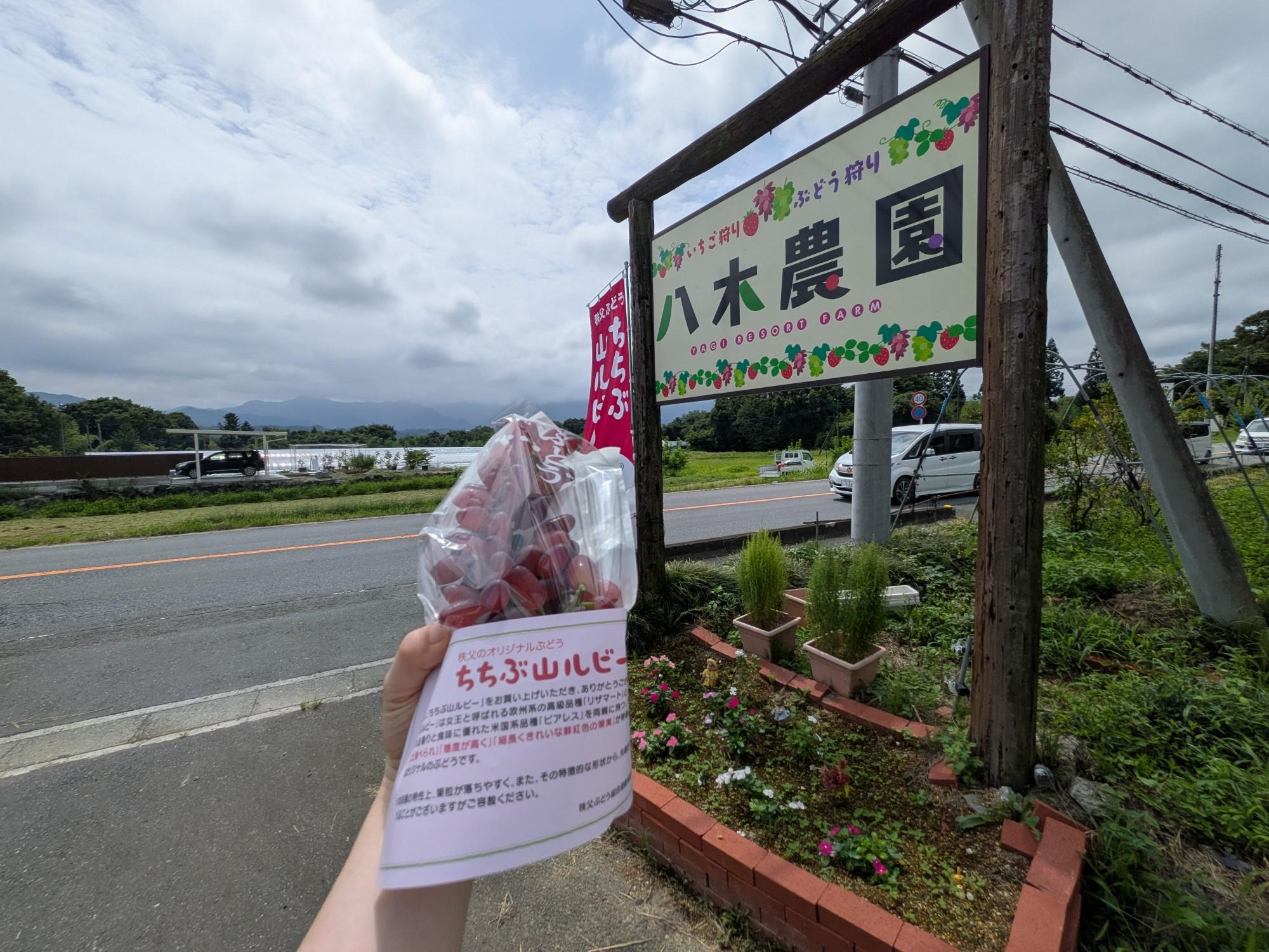 前から気になっていたフルーツ「ちちぶ山ル... / shiroさんのモーメント | YAMAP / ヤマップ