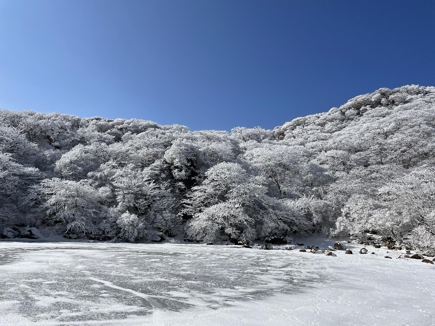 大船山 / kinjunさんの九重山（久住山）・大船山・星生山の活動データ | YAMAP / ヤマップ