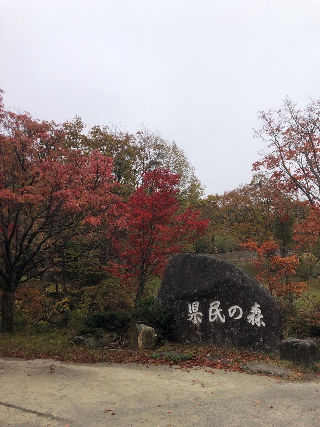 毛無山・烏帽子山・比婆山・立烏帽子山 / 島根のイヌさんの比婆山・立烏帽子山・吾妻山の活動データ | YAMAP / ヤマップ