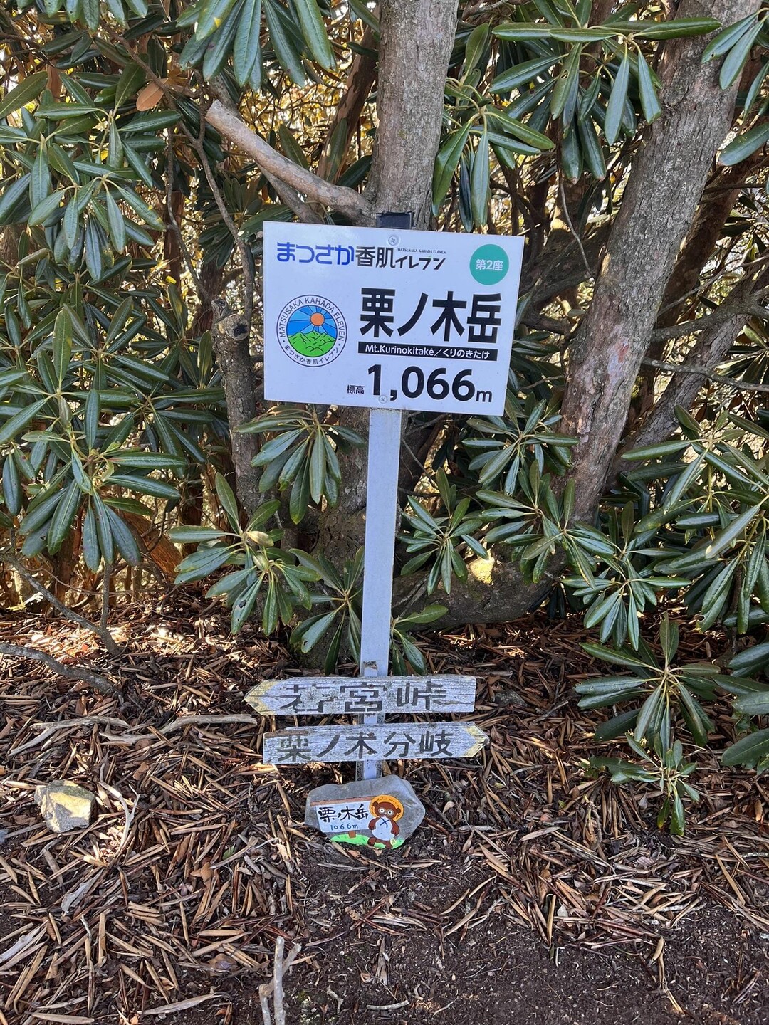 栗の木岳、修験業山 / ta_ba8016さんの三峰山・学能堂山・栗ノ木岳の活動データ | YAMAP / ヤマップ