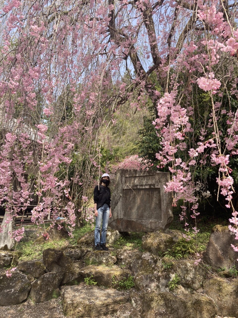 しろくまjkのページ | YAMAP / ヤマップ