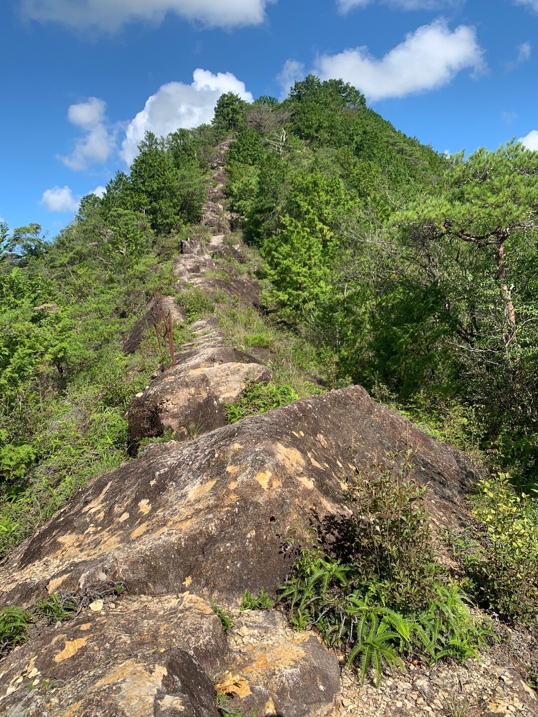 宇連山岩稜トレ / oioiさんの宇連山・鳳来寺山・岩古谷山の活動データ | YAMAP / ヤマップ