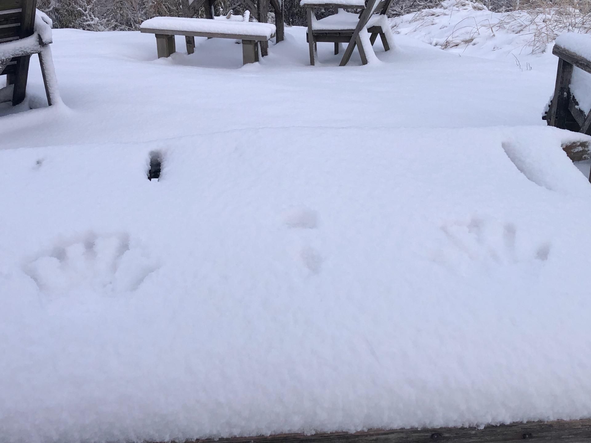 宝篋山 雪 / tetsuさんの宝篋山・富岡山の活動データ | YAMAP / ヤマップ