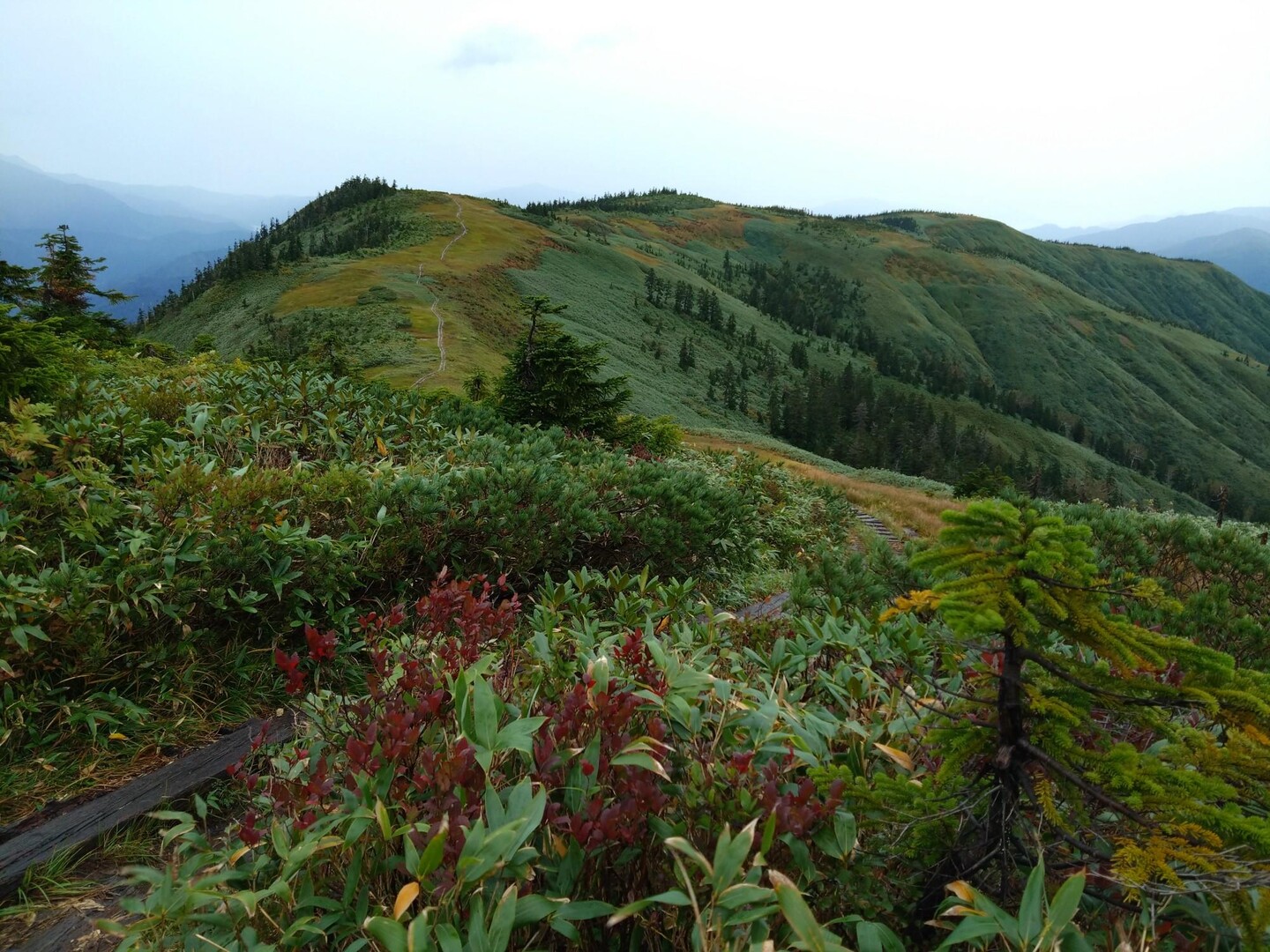 会津駒ヶ岳 / moneさんの会津駒ヶ岳の活動データ | YAMAP / ヤマップ