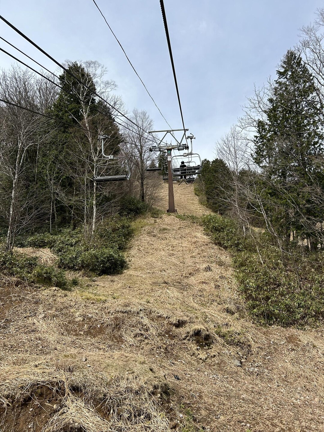 ラストのめいほうスキー場⛷ / akoさんのめいほうスキー場の活動データ | YAMAP / ヤマップ