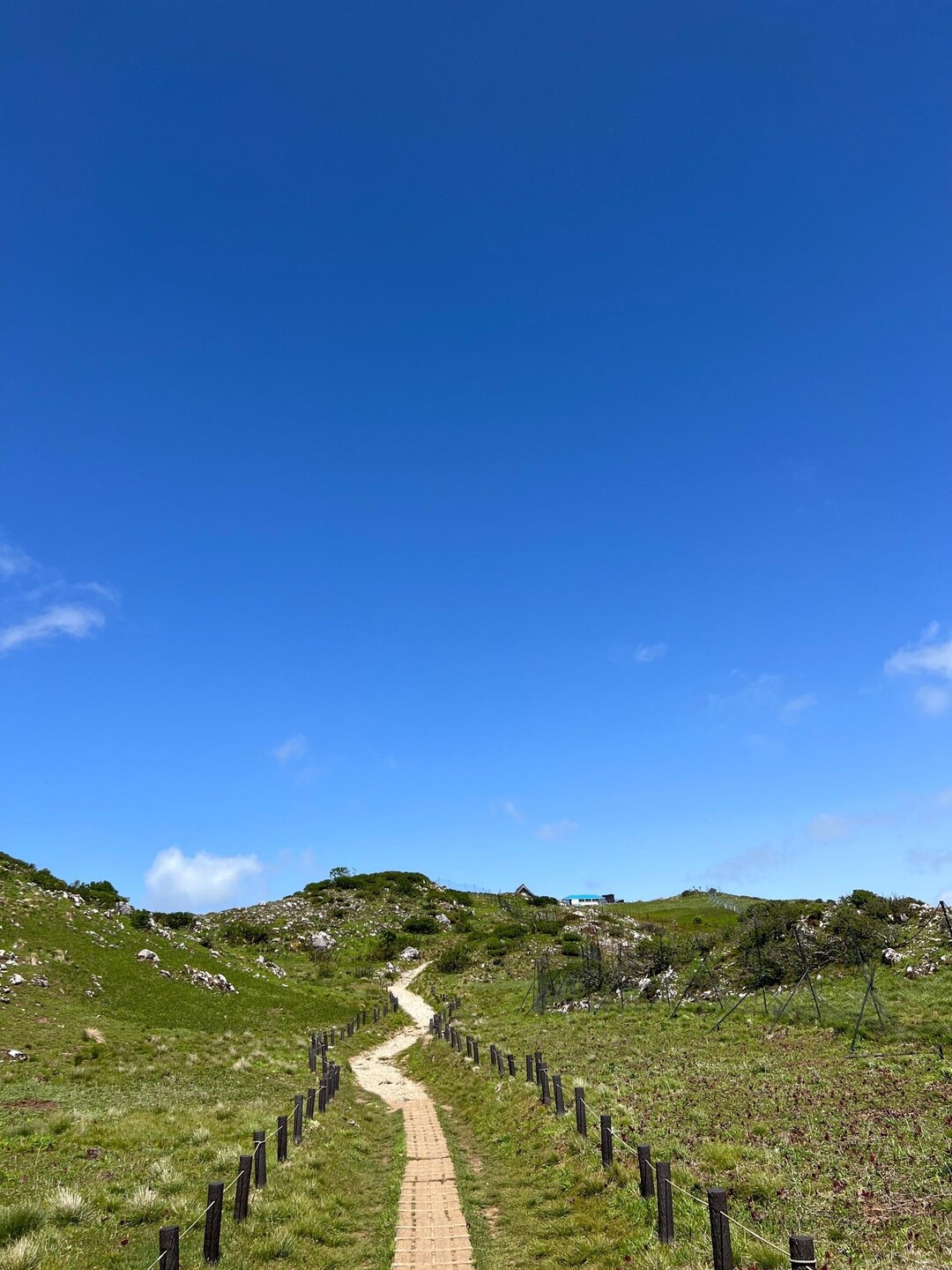 R5 3度目の関西五芒星巡り / 桔梗巡礼パパさんの伊吹山・伊吹高原・御座峰の活動データ | YAMAP / ヤマップ