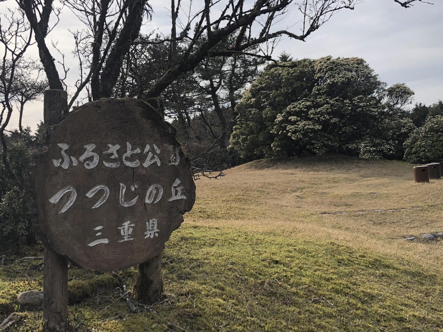 青山高原 夕暮れの天空散歩 / pixyさんの青山高原の活動データ | YAMAP / ヤマップ