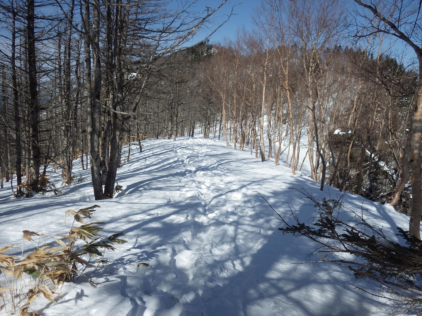 大泉山・経ヶ岳 / RYZさんの経ヶ岳・坊主岳の活動データ | YAMAP / ヤマップ
