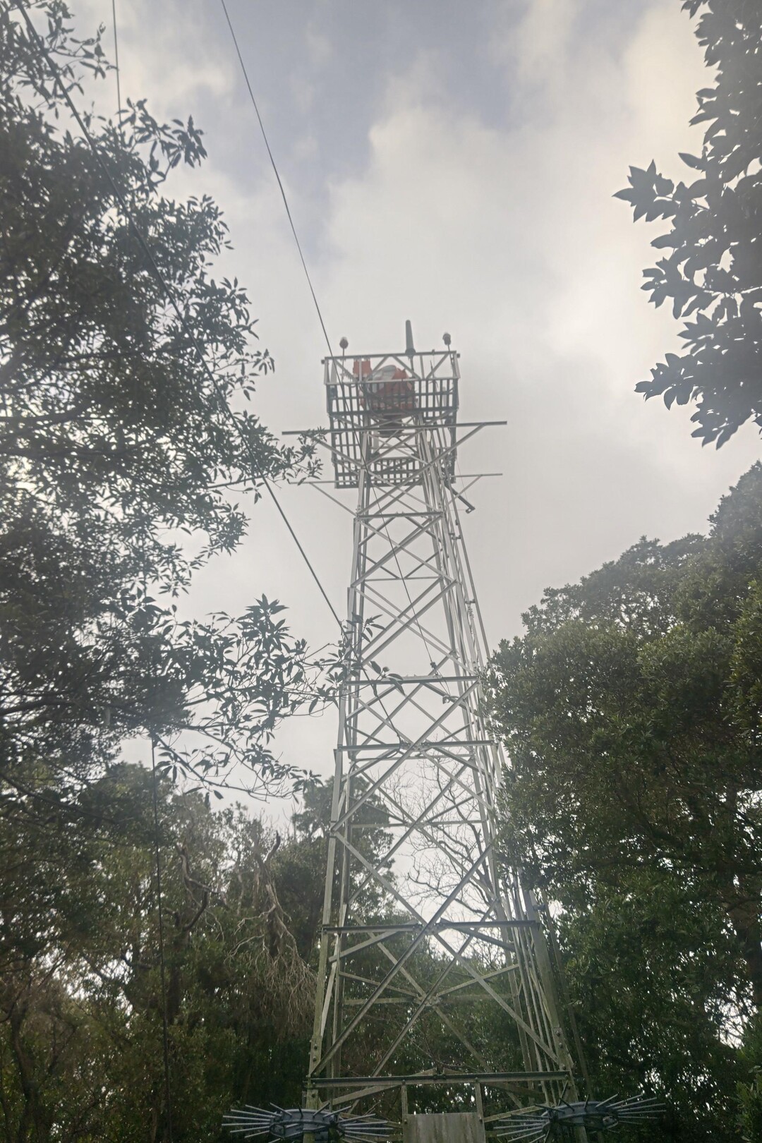 田島山 / gp02さんの田島山の活動データ | YAMAP / ヤマップ