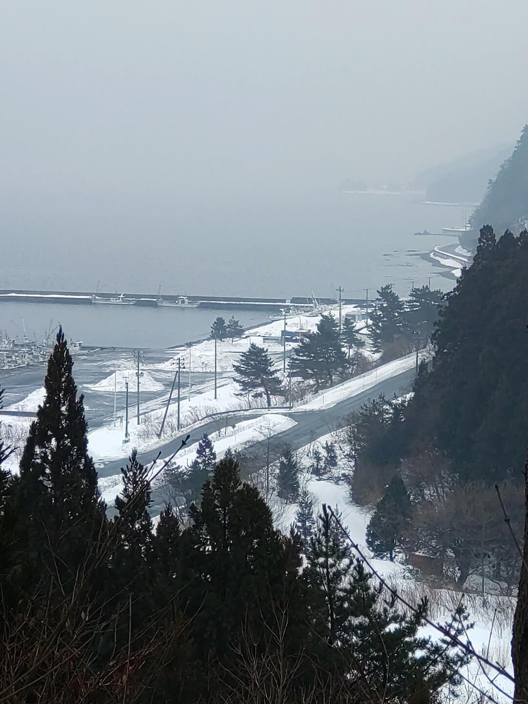 R5.2/19 せっかくの2週間ぶりの... / うるるさんのモーメント | YAMAP / ヤマップ