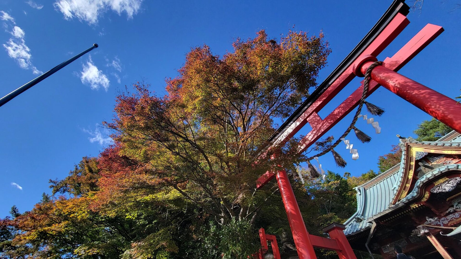 高尾山～ / kotaさんの高尾山・陣馬山・景信山の活動データ | YAMAP / ヤマップ