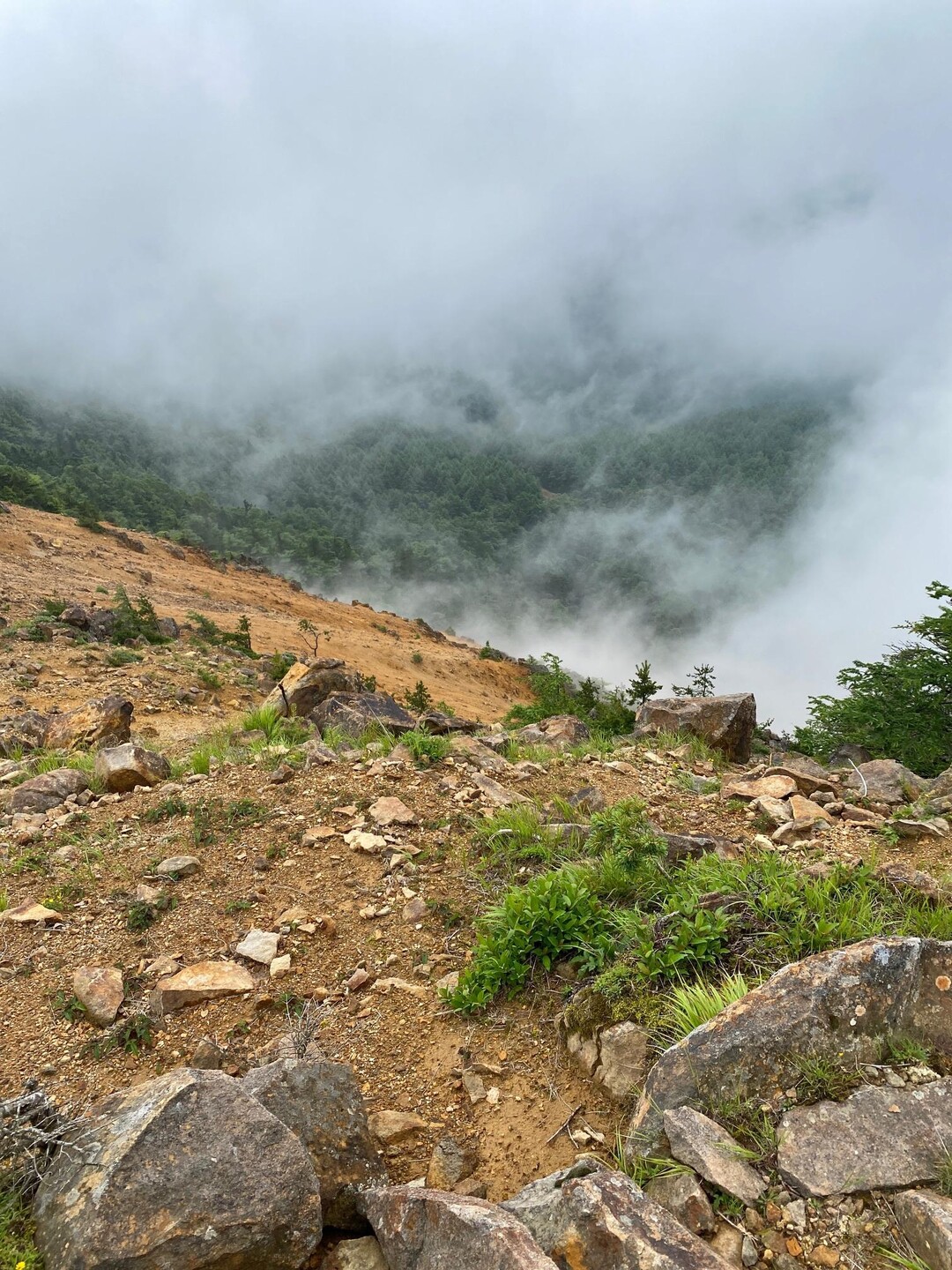 水ノ塔山・篭ノ登山(東篭ノ登山)・三方ヶ峰 / iwas@kiさんの湯ノ丸山・角間山・鍋蓋山の活動データ | YAMAP / ヤマップ