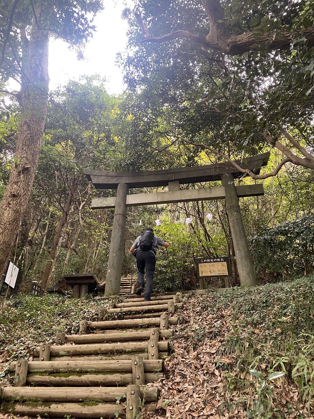 鷹取山 / chabicoさんの高麗山・湘南平・鷹取山の活動データ | YAMAP / ヤマップ