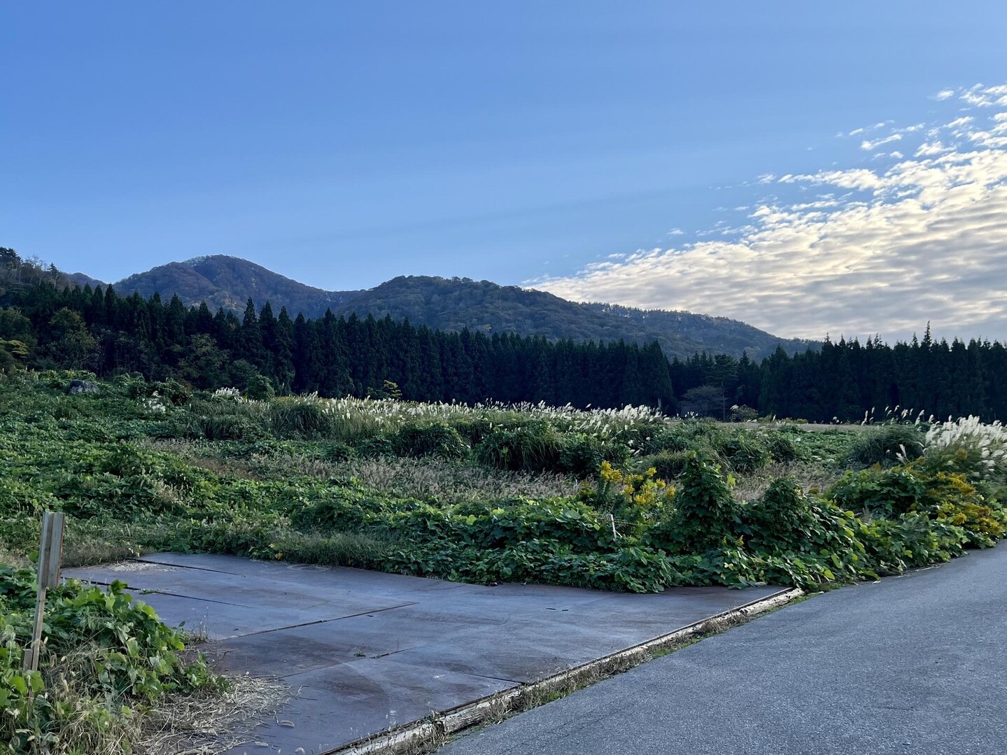 愉しみ探しの里山へ『高坪山』 / w823hさんの高坪山の活動データ | YAMAP / ヤマップ