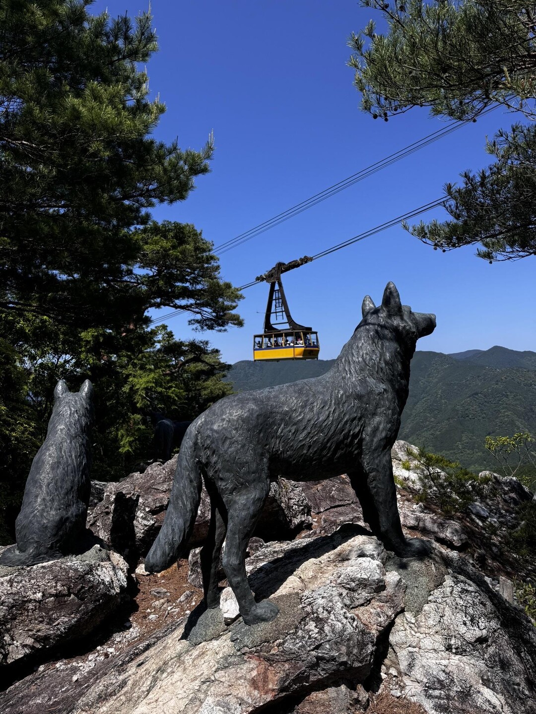 太竜寺山・太竜岳 / Takeさんの太竜寺山の活動データ | YAMAP / ヤマップ