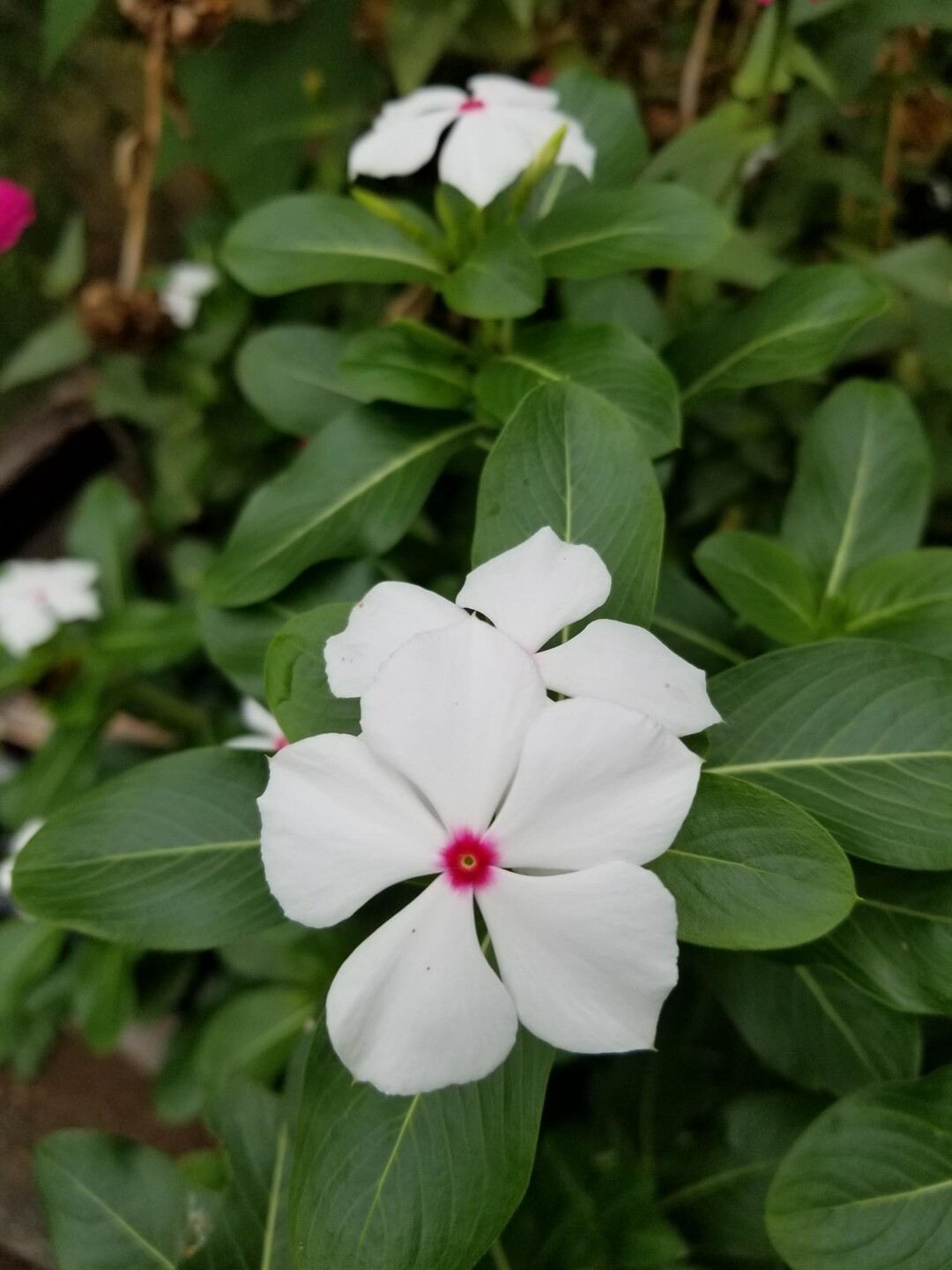 2024.10.03(木) 03:16 / ふちゃんさんのモーメント | YAMAP / ヤマップ