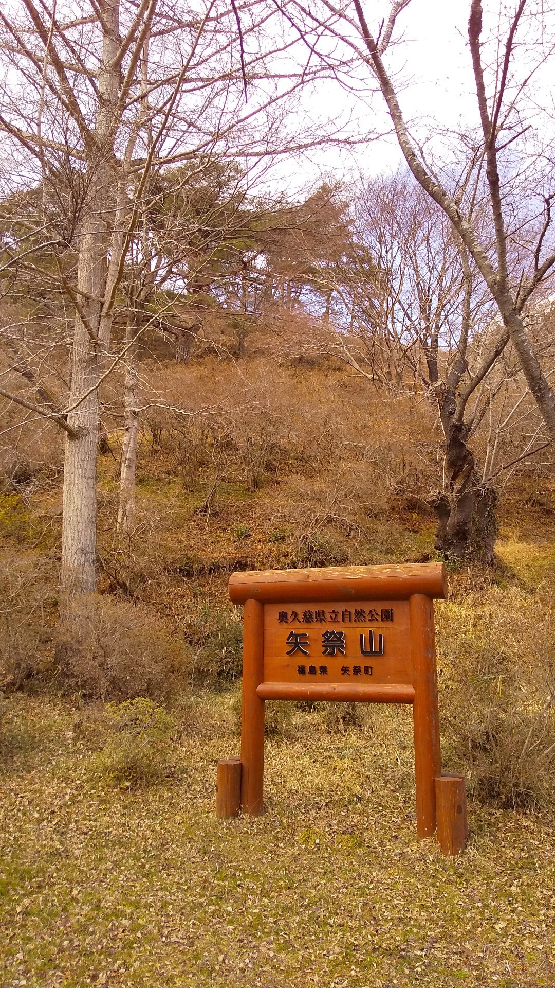 かる〜いノリで 矢祭山 / 8Man.GTさんの矢祭山・檜山の活動データ | YAMAP / ヤマップ