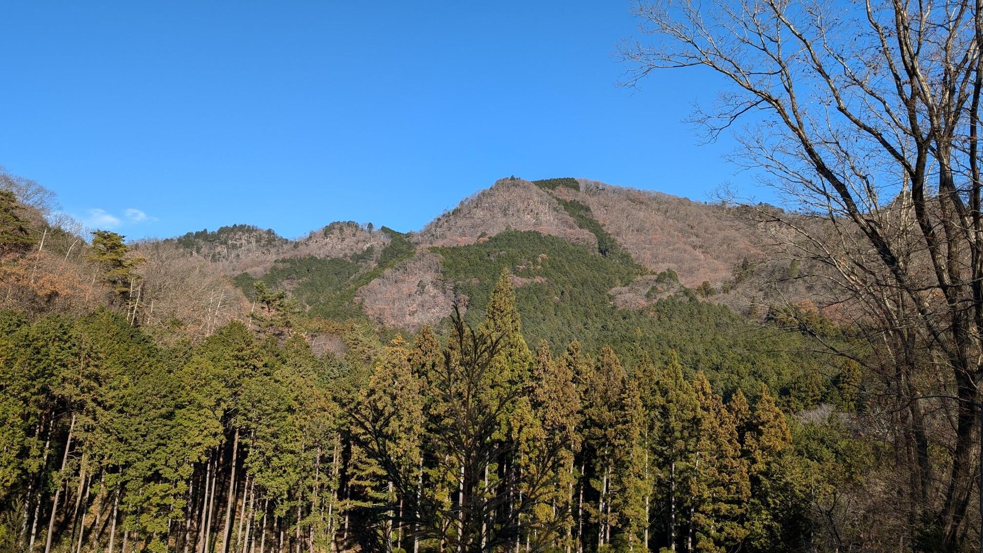 長倉山・鞍掛山・シゲト山 / nonnon99さんの古賀志山・赤岩山・鞍掛山・男抱山・半蔵山の活動データ | YAMAP / ヤマップ