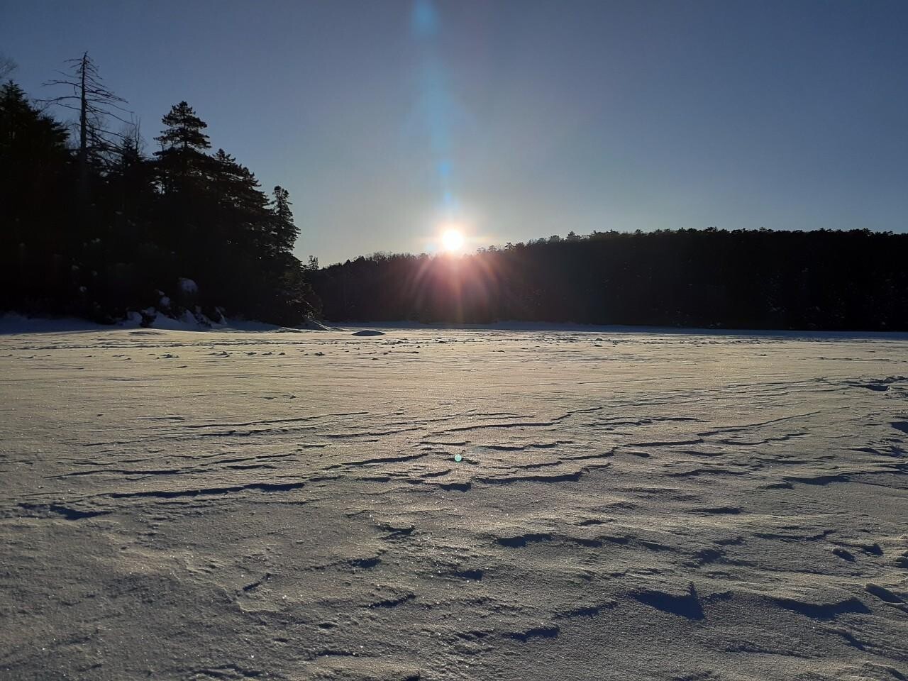 2024/3/9-10 白駒ノ池 / ERIさんの八ヶ岳（赤岳・硫黄岳・天狗岳）の活動データ | YAMAP / ヤマップ