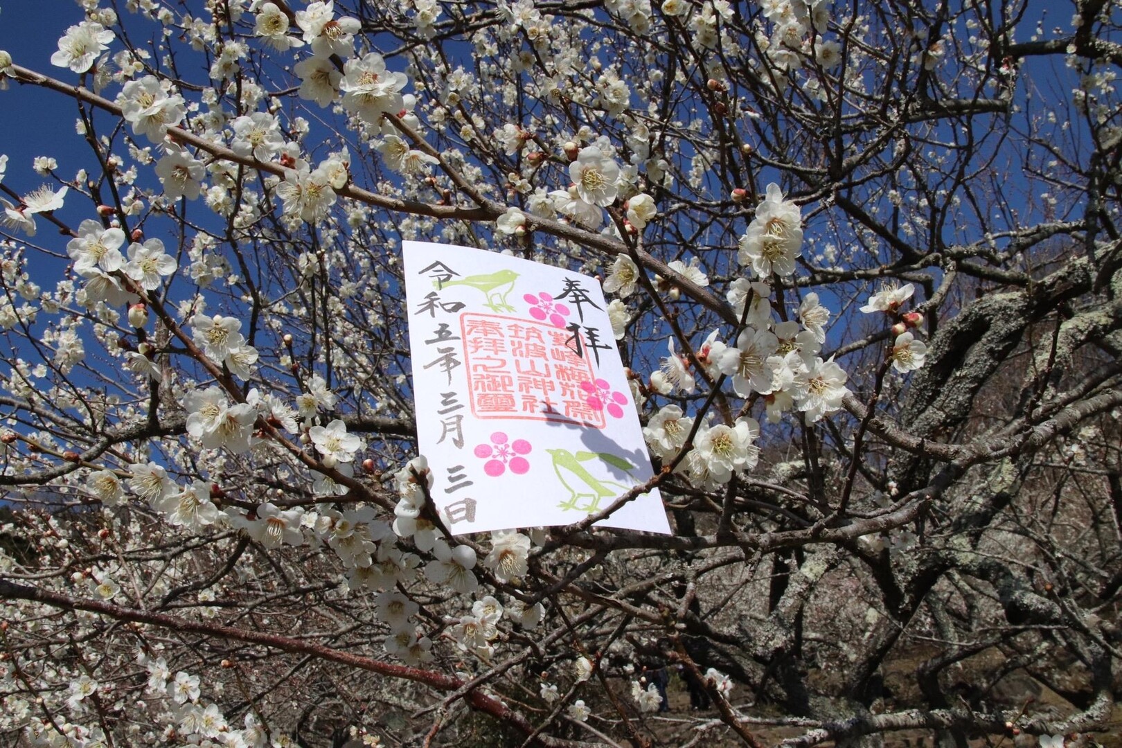 筑波山（男体山）・筑波山（女体山） / Mikiさんの筑波山の活動データ | YAMAP / ヤマップ