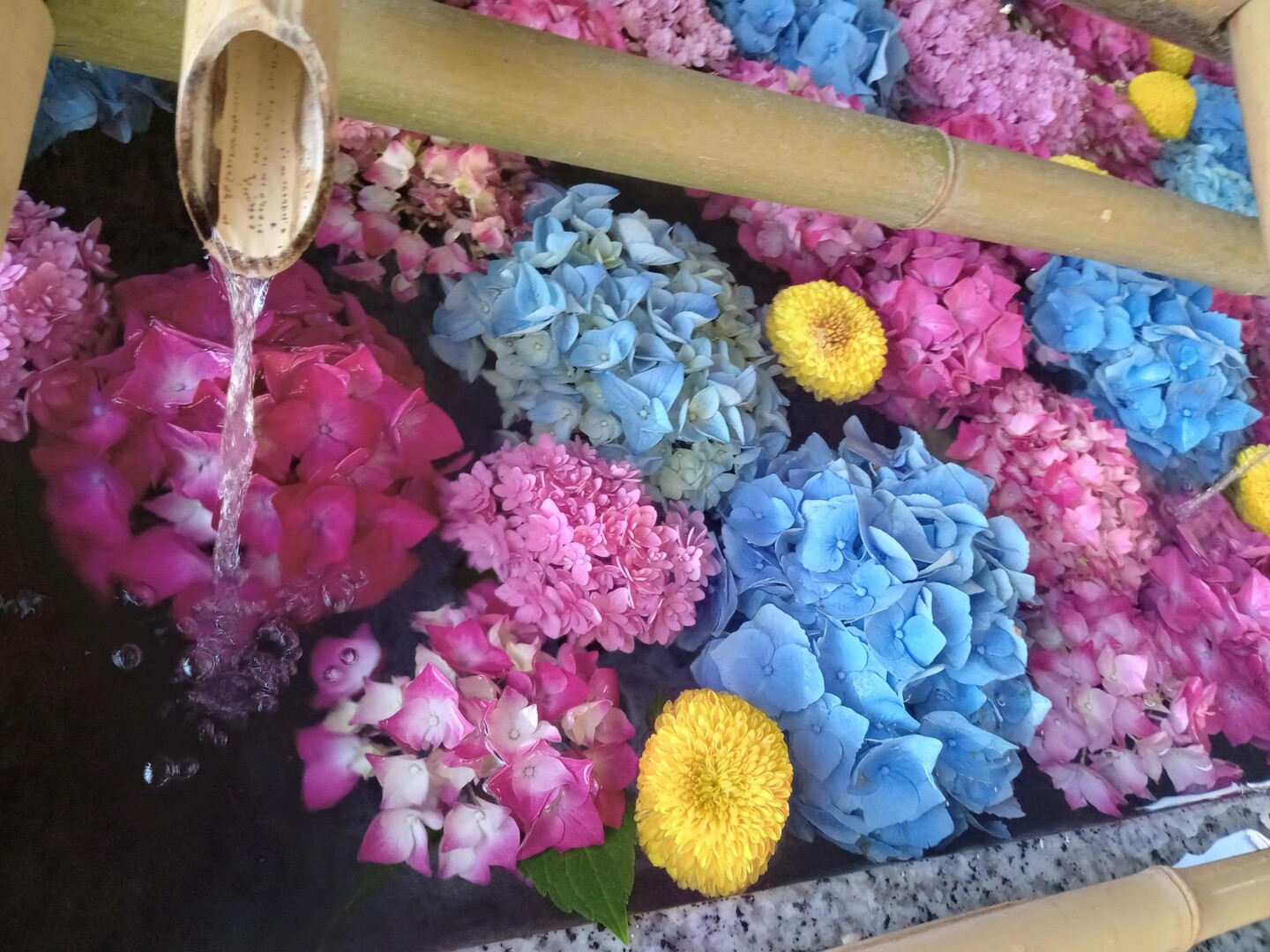 原宿の東郷神社⛩へ訪問しました!取引先と... / masasan🏃東京🗼仕事も遊びも本気です🌟さんのモーメント | YAMAP / ヤマップ