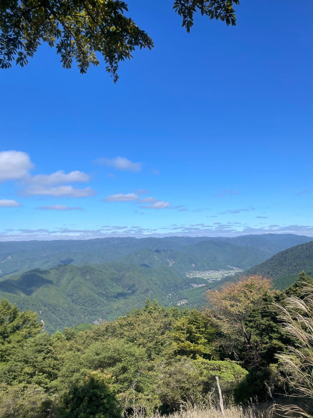 05Oct trail, super refreshing, nice weather, happy weekend y’all / run4funさんの比叡山・横高山・梶山の活動データ ...