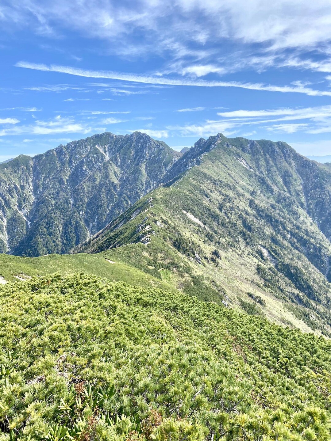 『南駒ヶ岳』Cosmo Circuit Mini / yasu-yoshiさんの木曽駒ヶ岳・空木岳・越百山の活動日記 | YAMAP / ヤマップ
