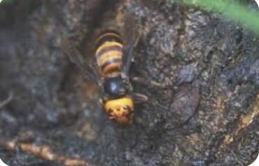 山に登ると、望まないものがたくさん見えて... / Corneさんのモーメント | YAMAP / ヤマップ