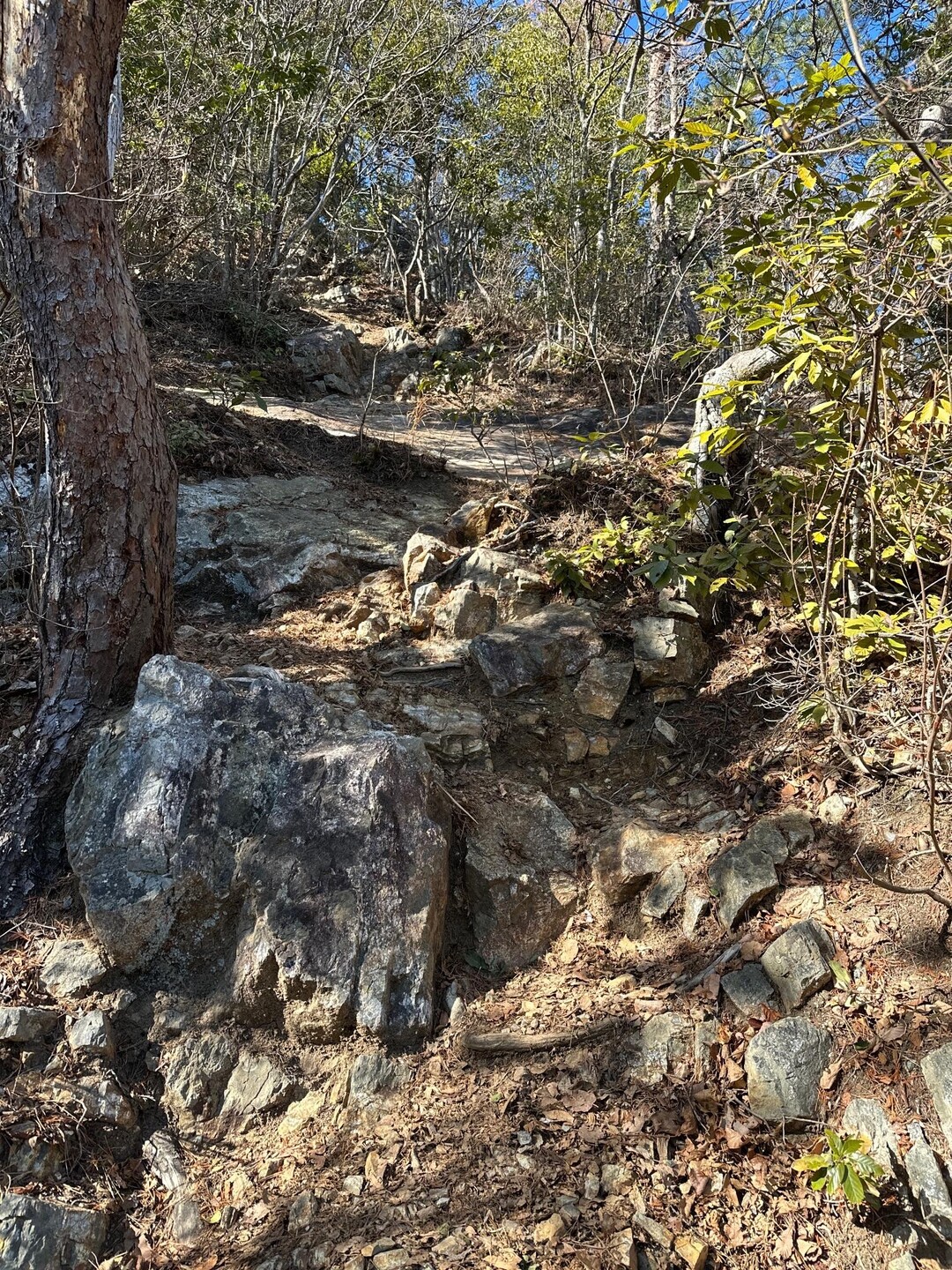 Jangers ジャンガースさんの投稿したフィールドメモ | YAMAP / ヤマップ