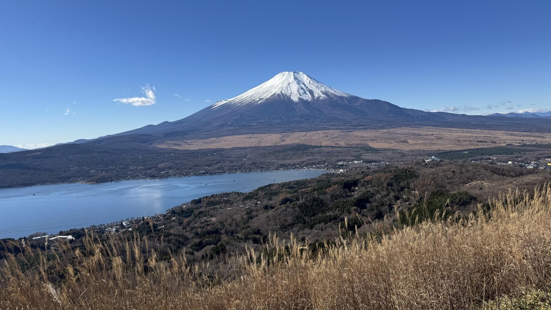 石割山。命令「パパちゃん前泊しなさい。」 / Stratoさんの御正体山・杓子山・石割山の活動データ | YAMAP / ヤマップ